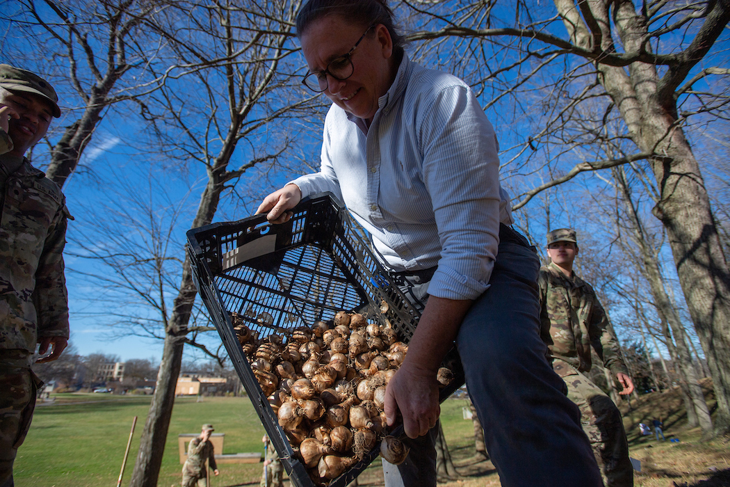 PLANTING THE SEEDS (OR BULBS) OF REMEMBRANCE ON KENT STATE’S DAFFODIL ...