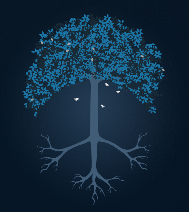 Kent State Magazine | Kent State University