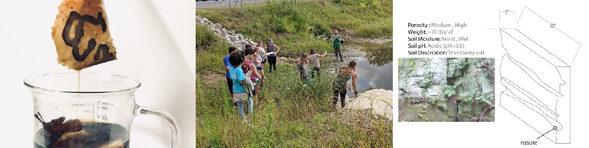 How does Biodesign relate to environmental issues? | Kent State University