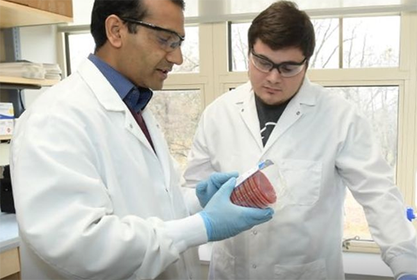 Master of Science in Clinical Epidemiology | Epidemiology Degree ...