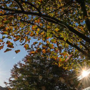 Tuscarawas Campus | Choose Ohio First