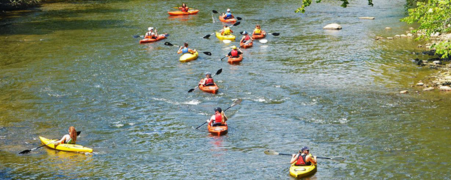 Recreation and Wellness Services | Kent State University