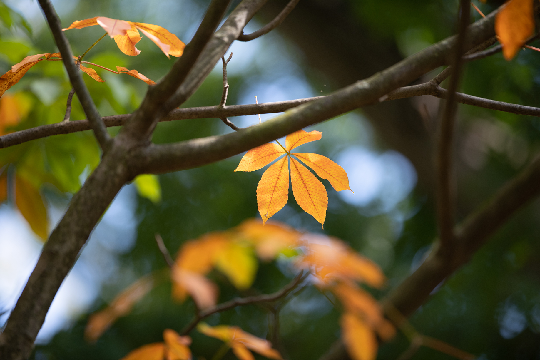 In Memory | Kent State Magazine | November 2025